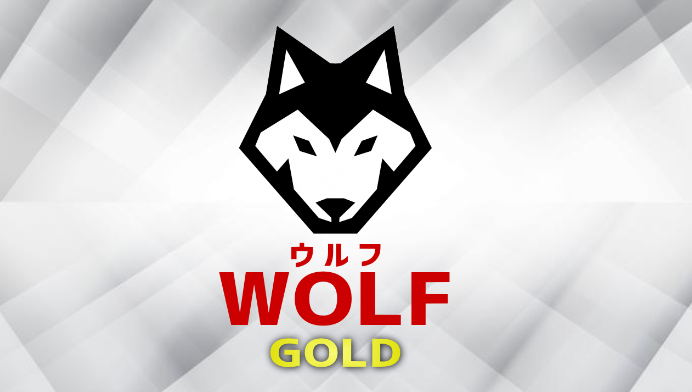 XM版口座開設マニュアル - FX自動売買システム『WOLF』